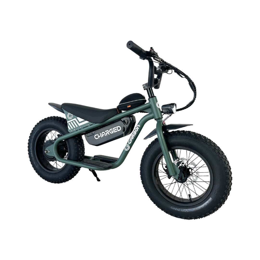 Carbon Charged Kids Electric Bike | whizkids